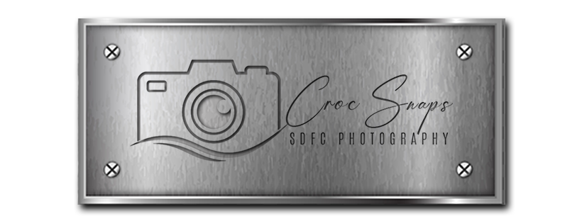 GALLERY - SDFC CROCS
